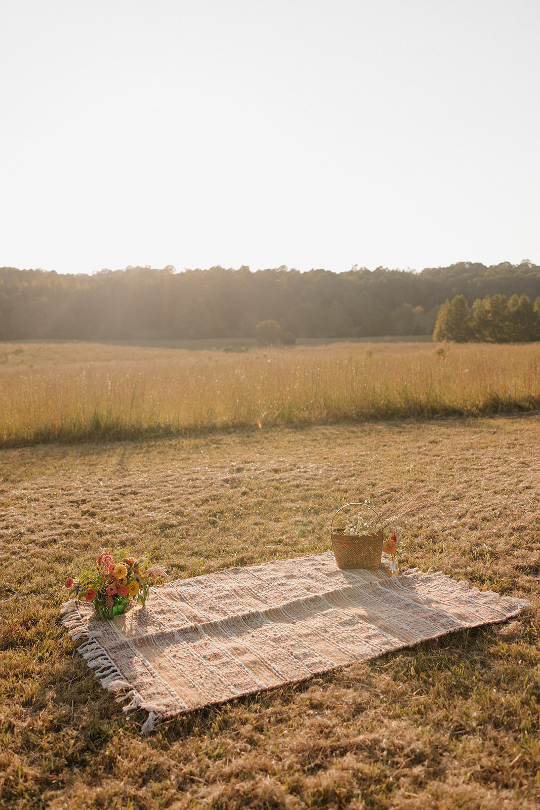 A Cute Proposal Story (& Essential Tips for Your Proposal ...